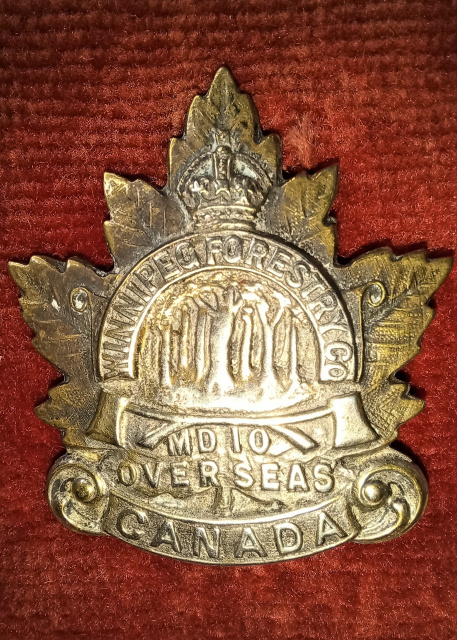 Canadian WW1 Badges (C.E.F.)