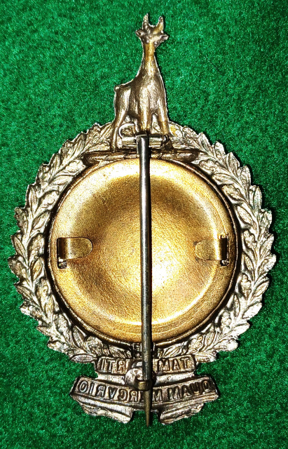 South Africa Army Badges